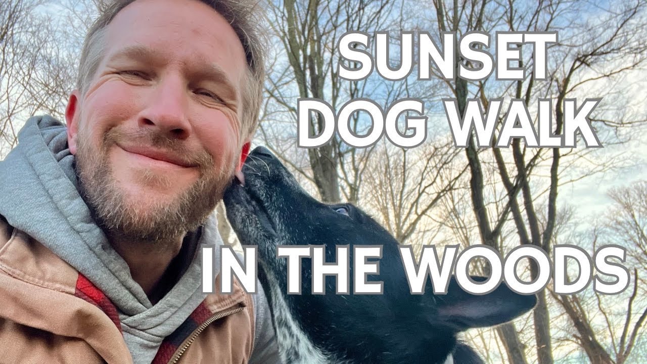 Sunset Dog Walk in the Woods - 3/17/24 - YouTube