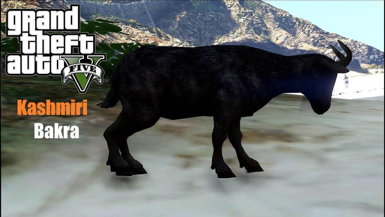 Gta5 Kashmiri Bakra Pakistan 2024 BY Gta5Studio Mirza Farhan Ali - YouTube