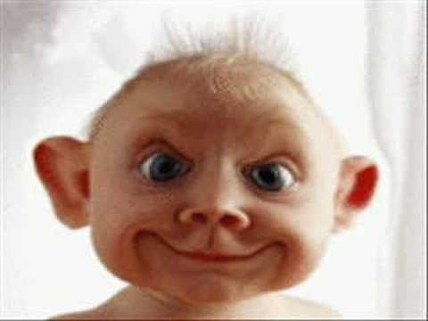 idiot baby - YouTube
