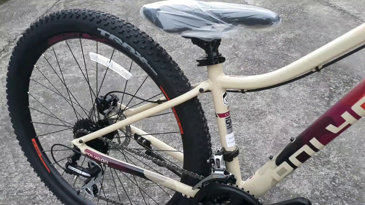 SEPEDA POLYGON CLEO 2 2020 - YouTube