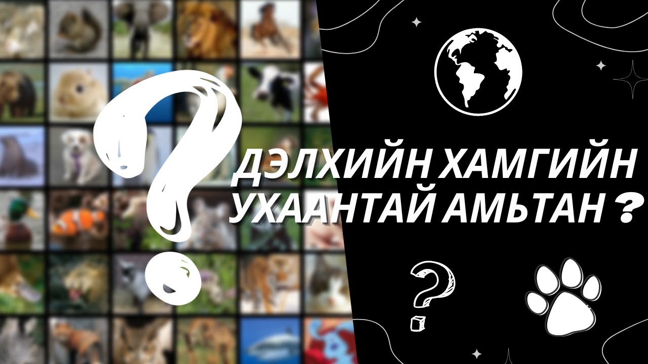 Дэлхийн Хамгийн Ухаантай Амьтан ? - YouTube