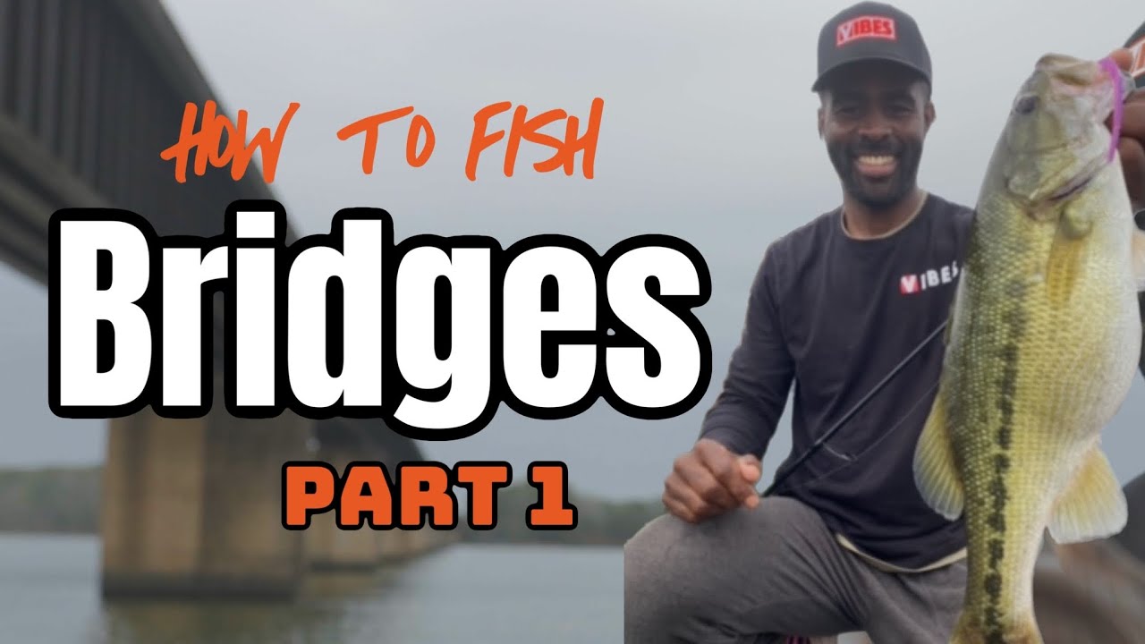 Bridges ALWAYS HAVE BASS - How to Fish Bridges Part 1 - YouTube