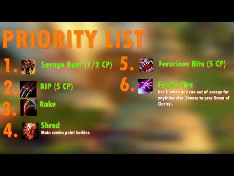FERAL CAT DRUID FLASH GUIDE- For  Warmane WoTLK 3.3.5a (Stats, Rotation, Dummy Test)
