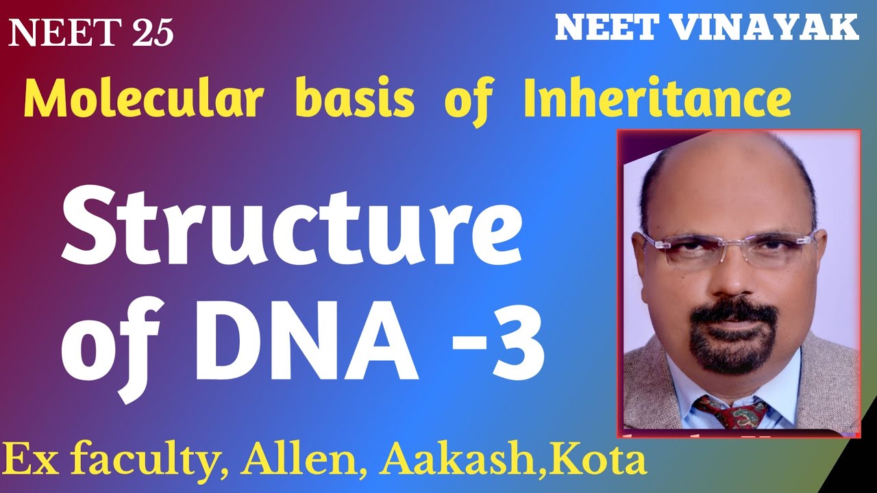 #neet #biology #molecular basis of inheritance # Genetics # Neet ...