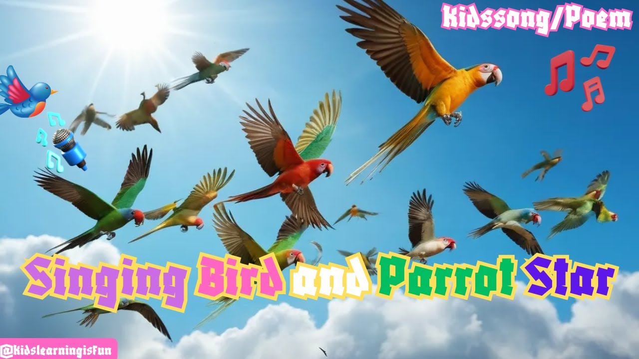 Singing Bird & Parrot Star l Rhymes l Poem l Childrens song l kids ...