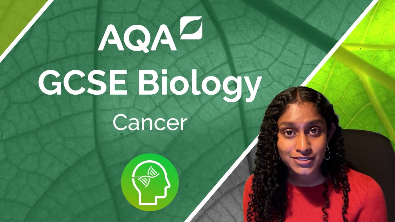 AQA GCSE Biology: Cancer - YouTube