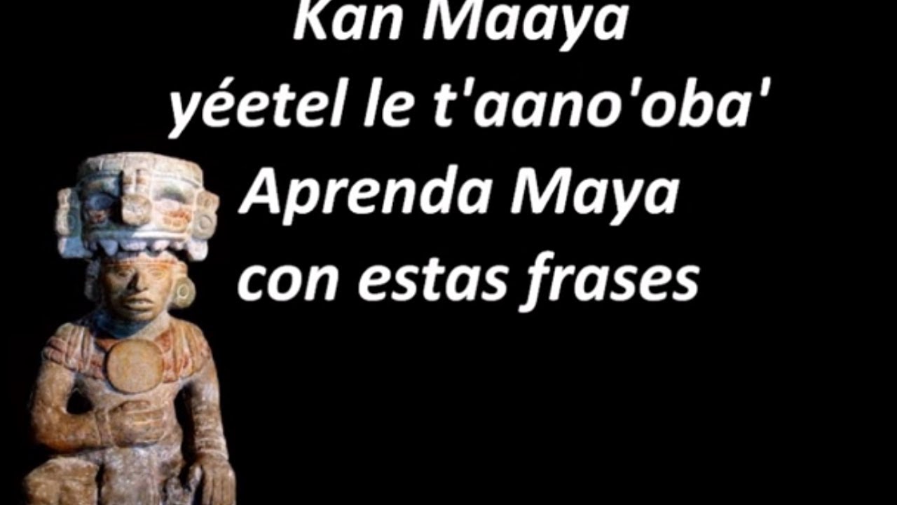 15.-Aprenda Maya, Frases 12 (VERBOS: bailar, acostumbrar, sorprender ...