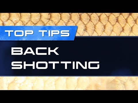 Top Fishing Tips – Back Shotting - YouTube