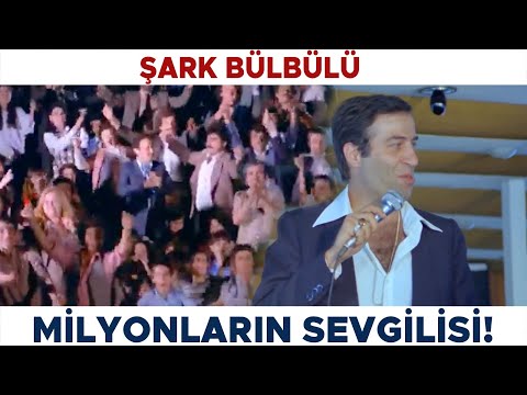 Şark Bülbülü Türk Filmi | Milyonların Sevgilisi Oldu! Kemal Sunal Filmleri
