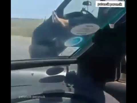 Bu dəfə sürücü ayağını şüşədən çıxarıb maşın sürdü