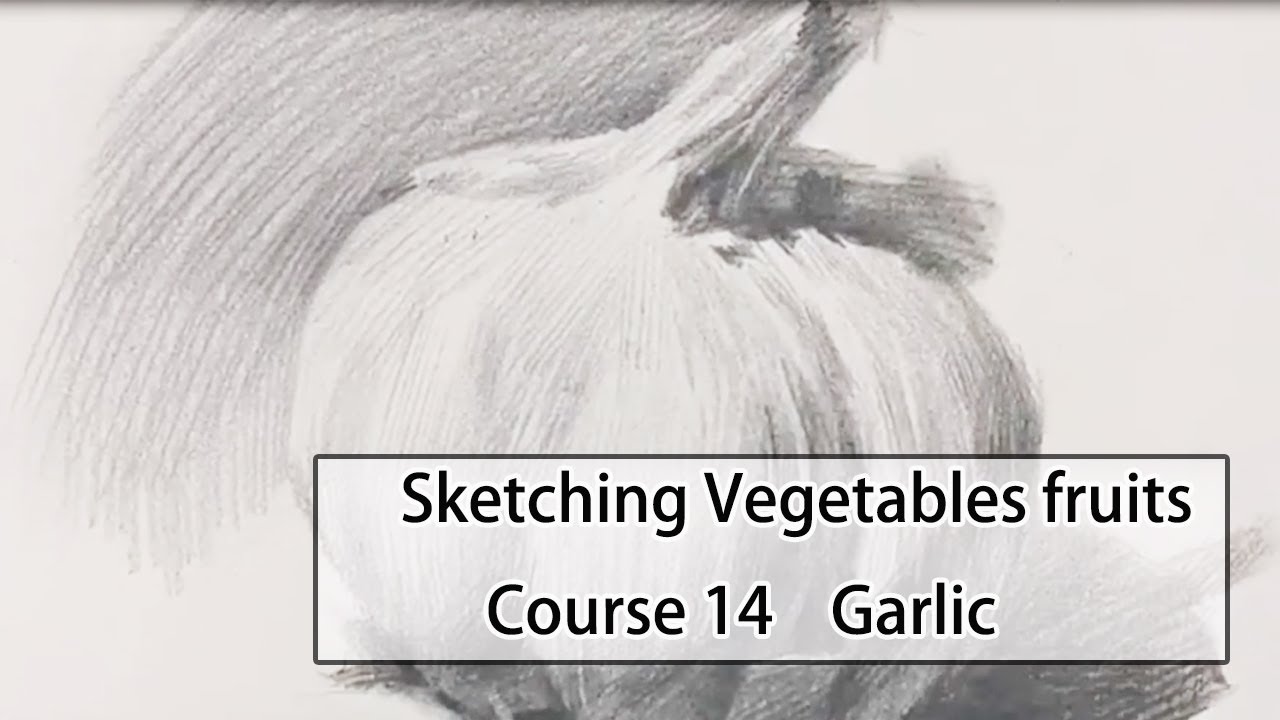 How to Draw Garlic - Pencil Sketch Step by Step - YouTube