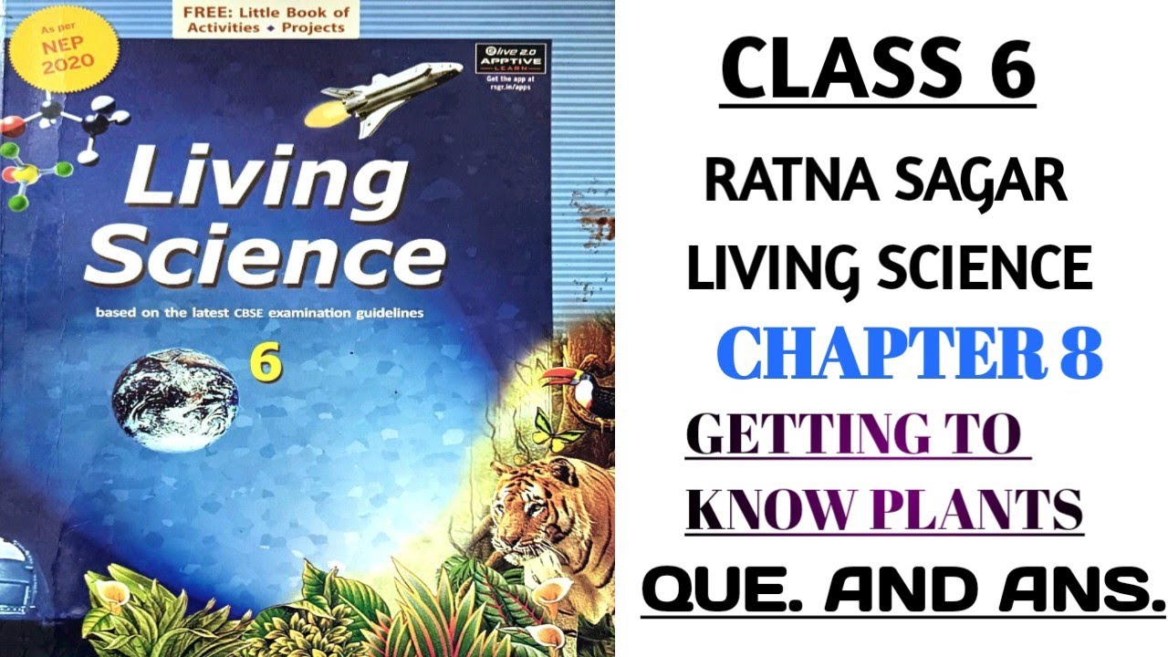 Class 6 | Chapter 8 | GETTING TO KNOW PLANTS |QUE.&ANS.| RATNA SAGAR ...