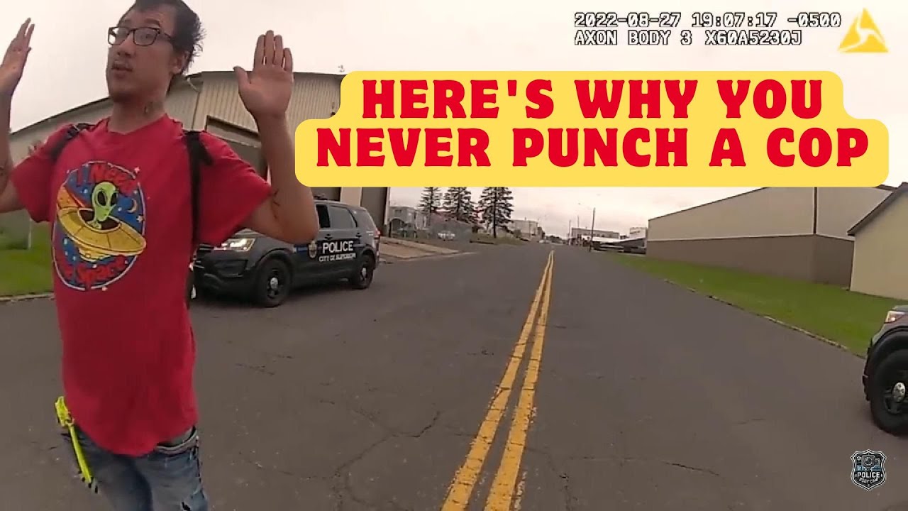 🚔 Here's Why You NEVER Punch a Cop 🚨😱 | Shocking Truth Revealed! - YouTube