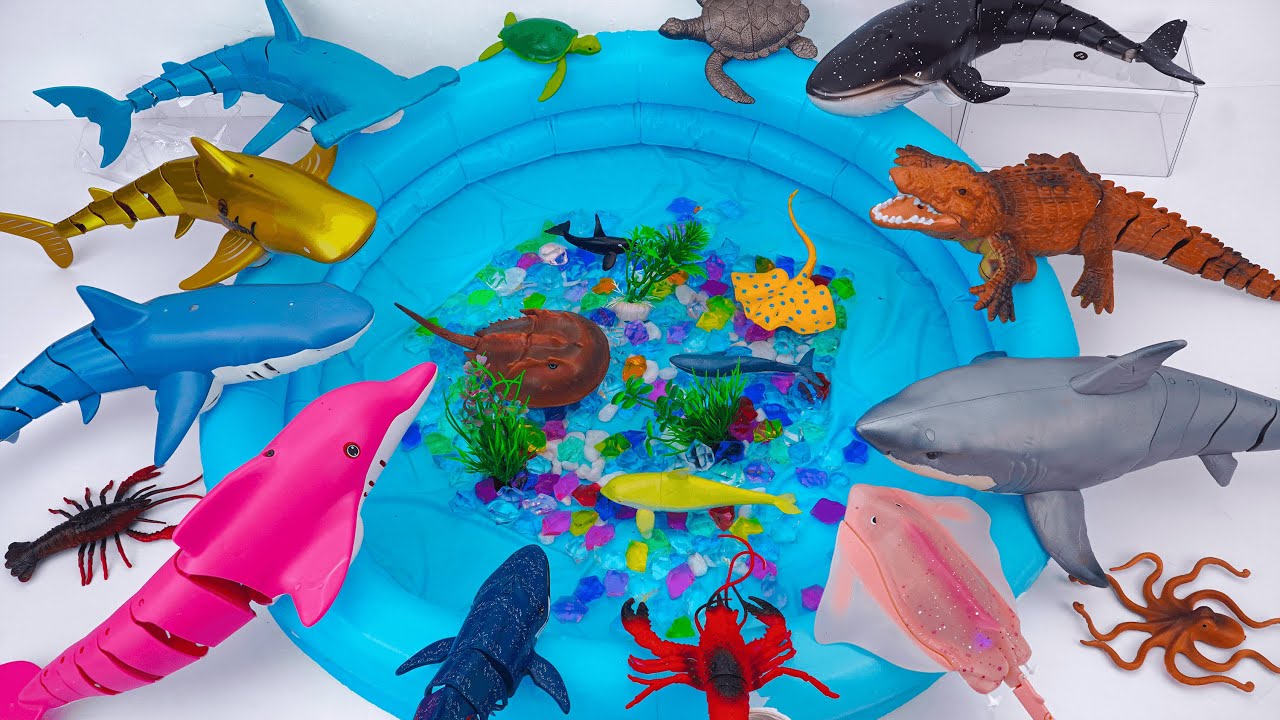 🦈toy asmr🦈 ZURU Robo Alive Huge Sea Animal & Harp's Fish Tank Toys ASMR ...