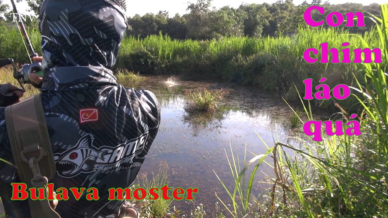 Bulava Monster đóng cá rất phê | câu cá lóc tự nhiên - YouTube