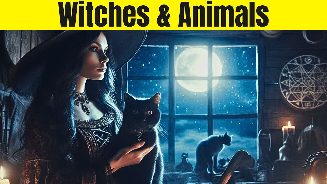 Why did WITCHES always have an ANIMAL by their side? - YouTube