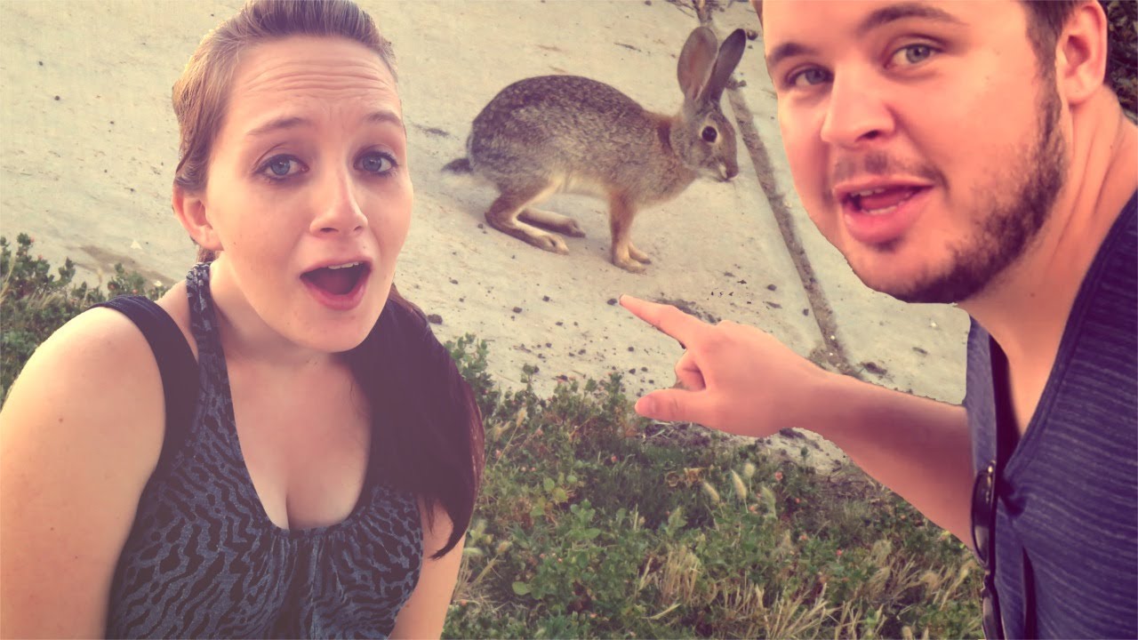 HOW TO CATCH WABBITS (6.14.13 - Day 140) - YouTube