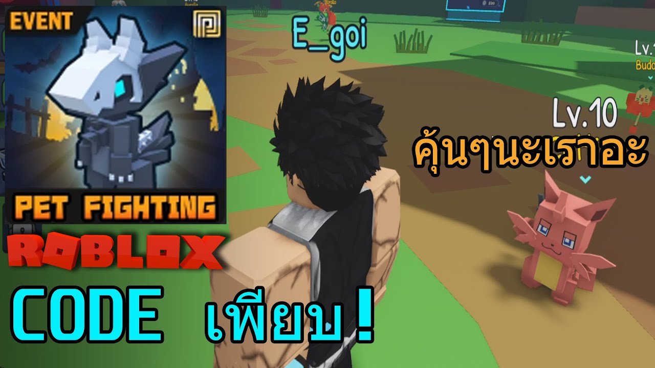 ROBLOX:Pet Fighting Square : หน้าตามันคุ้นๆนะ - YouTube