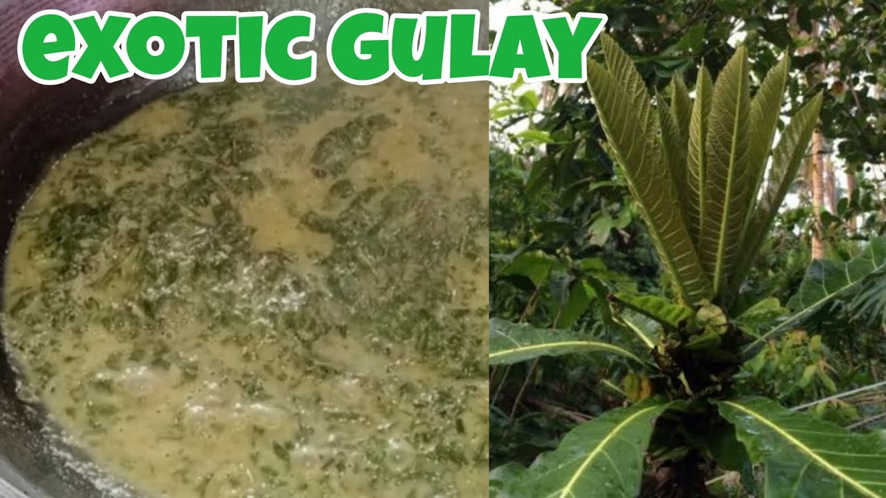 NAKAPAG LUTO NA BA KAYO NG GANITONG GULAY II NIYOG NIYOGAN OR LUBI LUBI ...