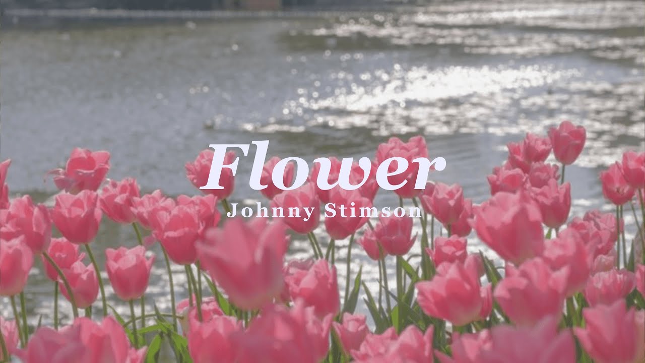 (thaisub) Johnny Stimson - Flower // แปลไทย - YouTube
