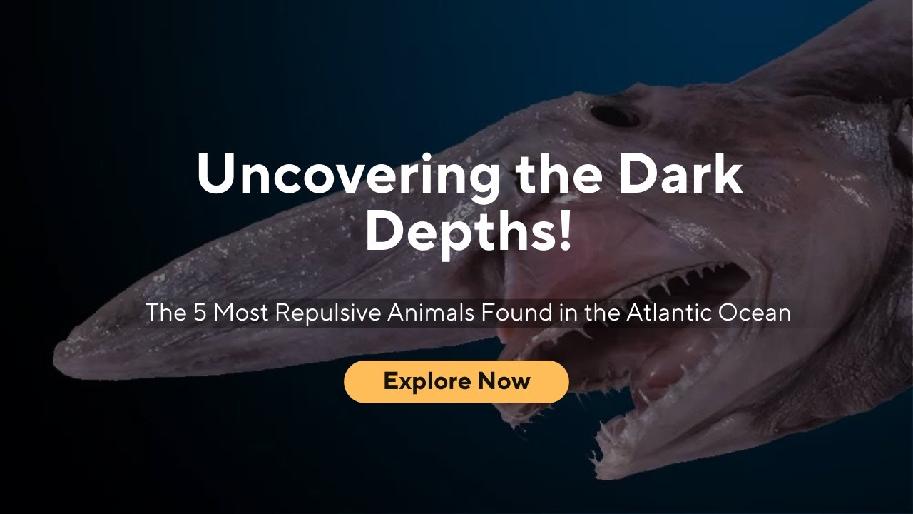 Uncovering the Dark Depths!: The 5 Most Repulsive Animals Found in the ...