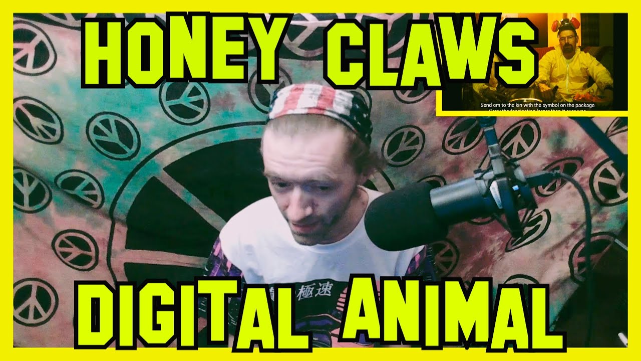 Digital Animal- Honey Claws (Reaction) - YouTube