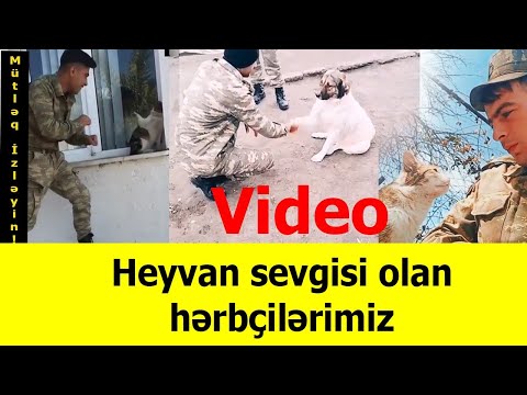 Əsgərlərimizin heyvan sevgisi duyğusal anlar yaşadır. #4