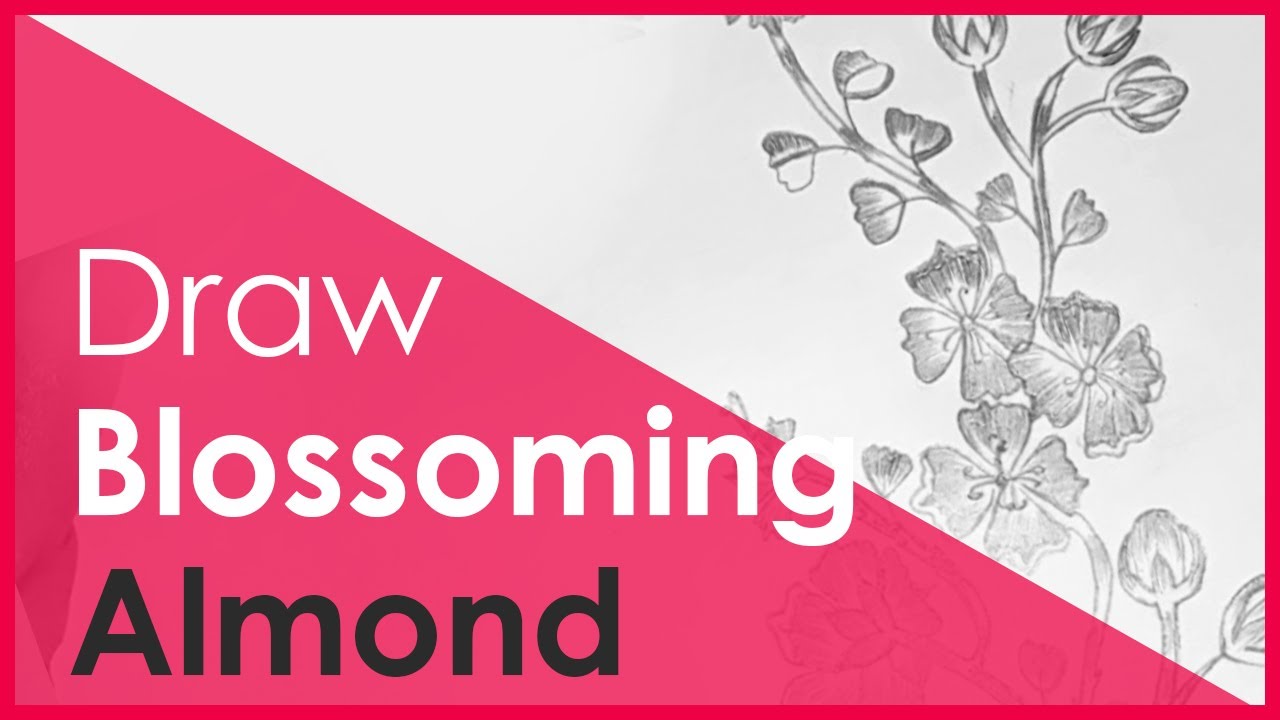 How to Draw I How to do sketching | Sketching step by step | Almond ...