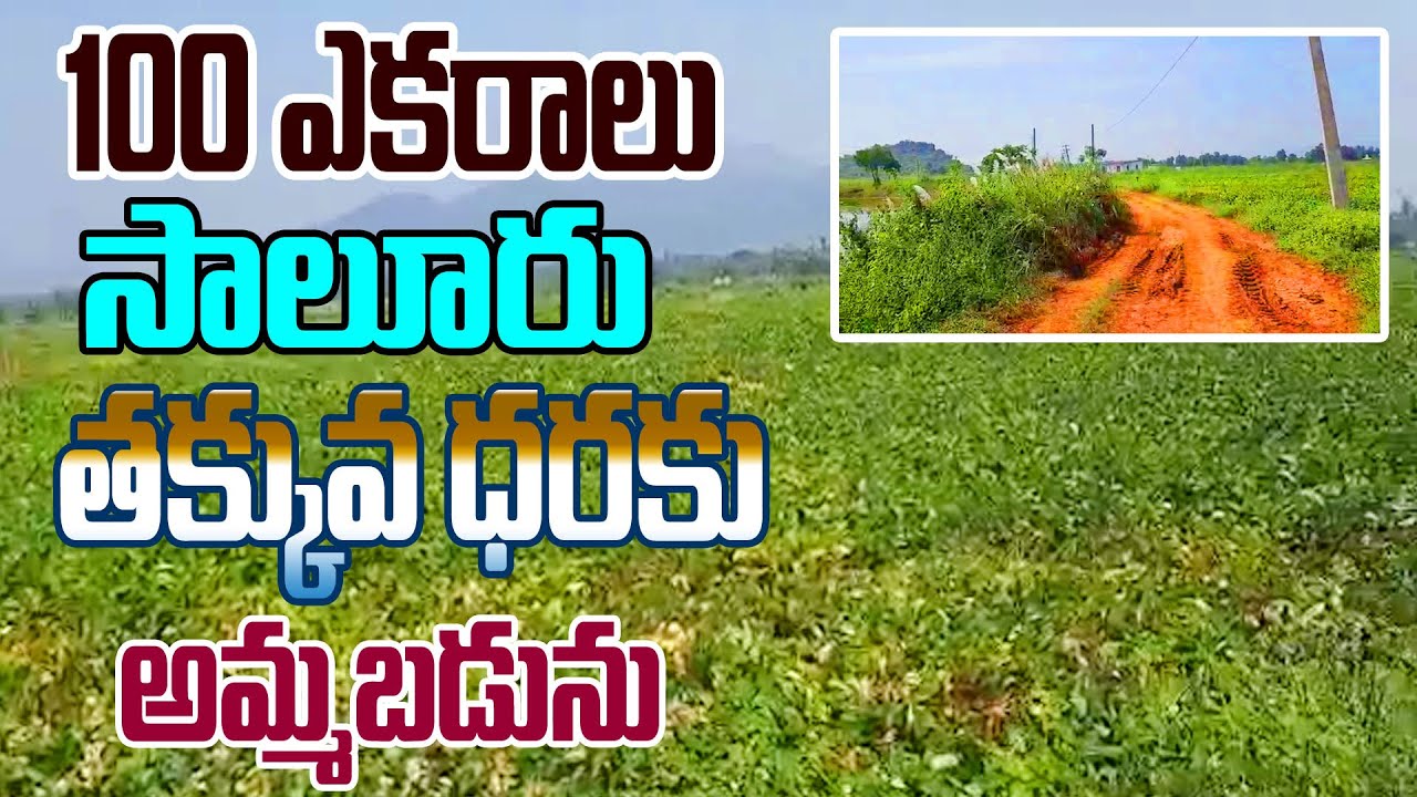 100 Acre Land For Sale | Low Price Land | Property for Sale in Salur ...