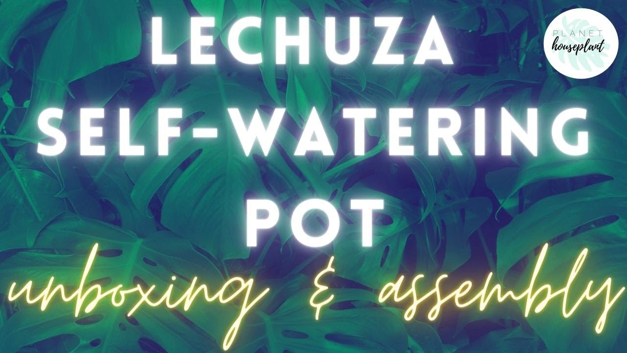 Lechuza Self-Watering Plant Pot Unboxing & Assembly - YouTube