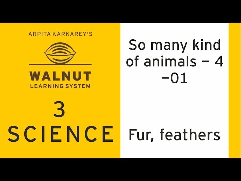 3 Science - So many kind of animals 04 - 01 - Fur, feathers - YouTube