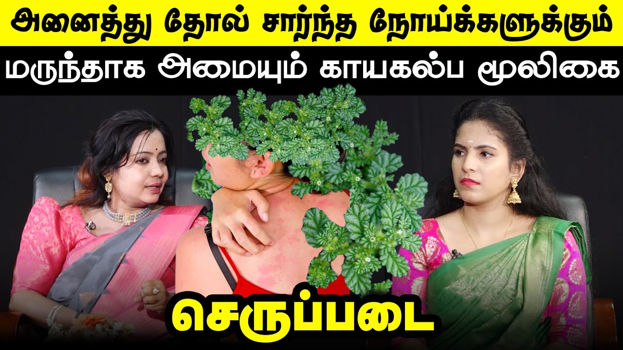 தோல் சார்ந்த நோய்களிற்கு தீர்வு காயகல்ப மூலிகை | Akathiyam- Maithily ...
