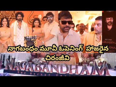 Chiranjeevi : Naga Bandham Movie Opening | pooja of naga bandham movie ...
