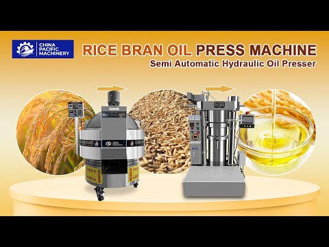 Rice Bran Oil Extraction Machine|Rice Bran Oil Extractor|Hydraulic Oil ...