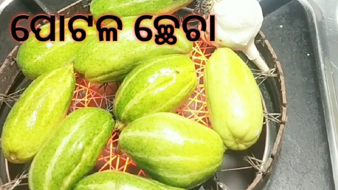 ପୋଟଳ ଛେଚା //Parbal ki chatni in odiya recipe - YouTube
