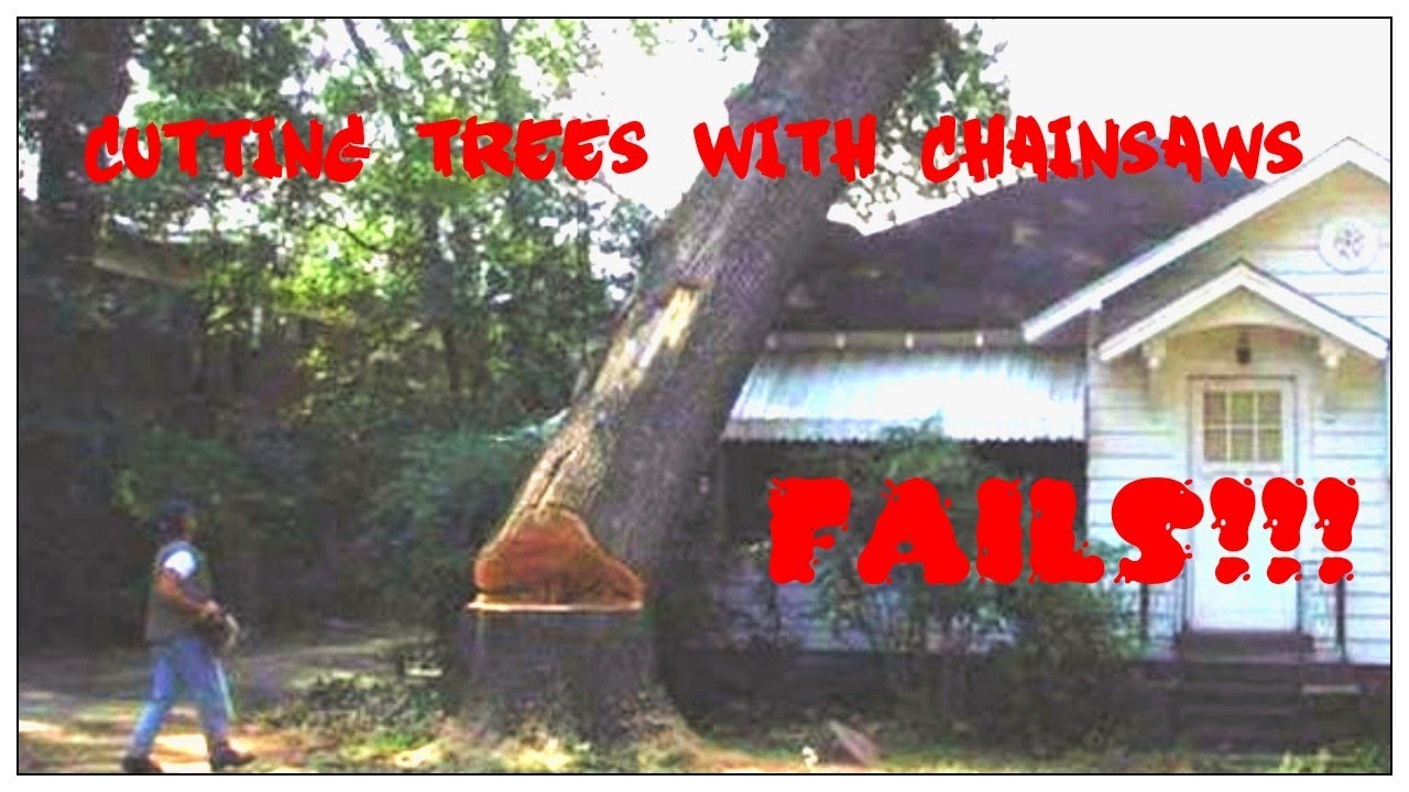 BIG FAILS!!! Cutting Trees With Chainsaws!!! - YouTube