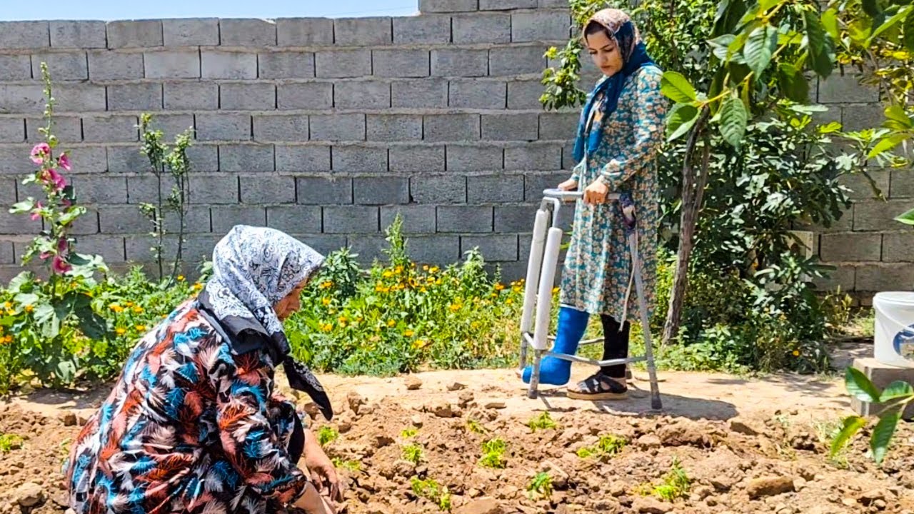 Gardening in the courtyard of rural life in Iran,A beautiful day in ...