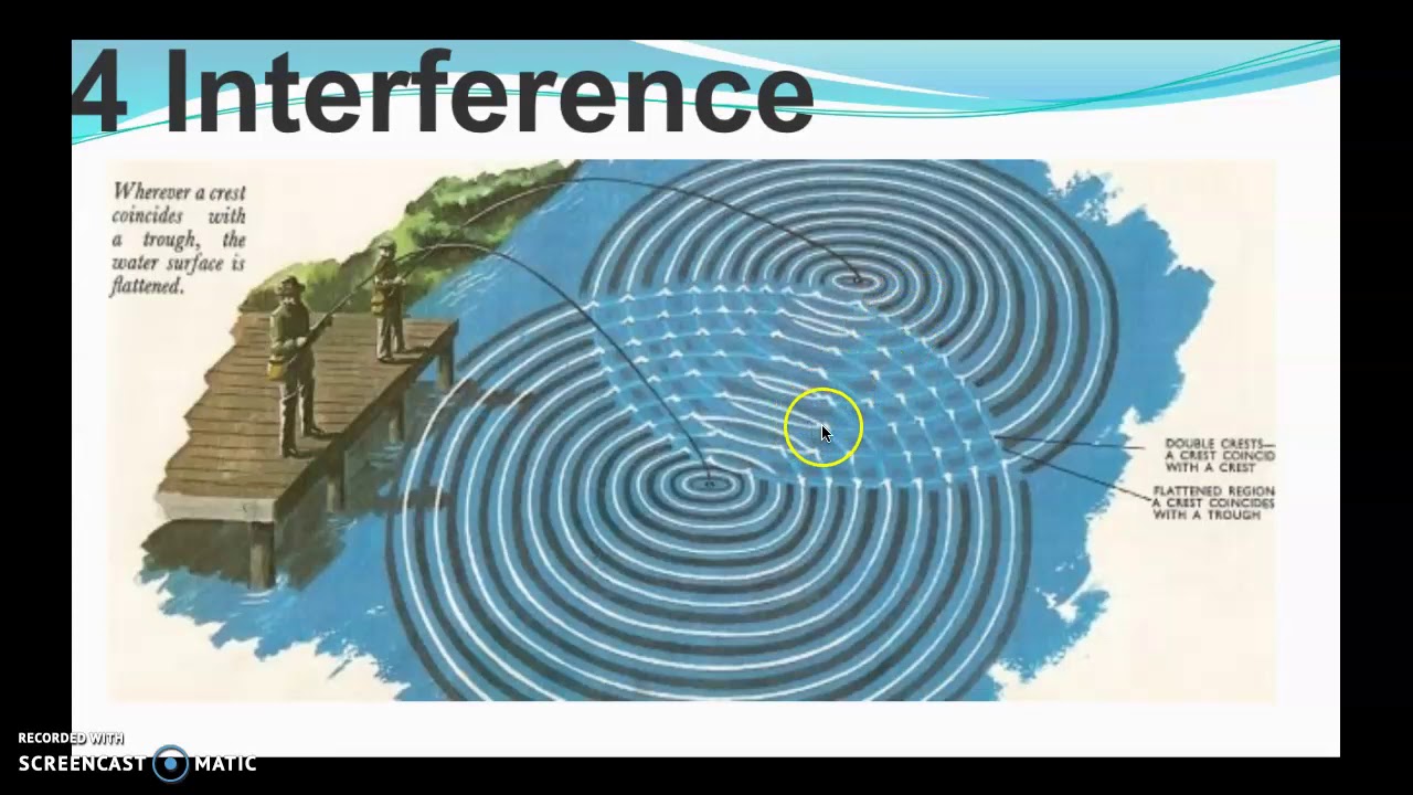 Wave interactive map