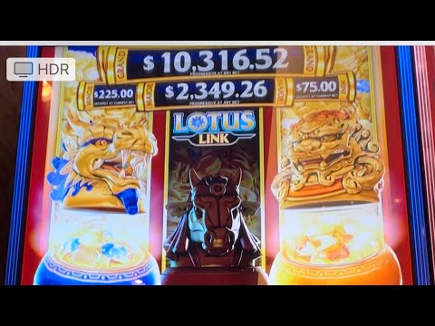 👀LOTUS LINK W/DUAL POPPED FEATURES#fypシ゚viral #slot - YouTube