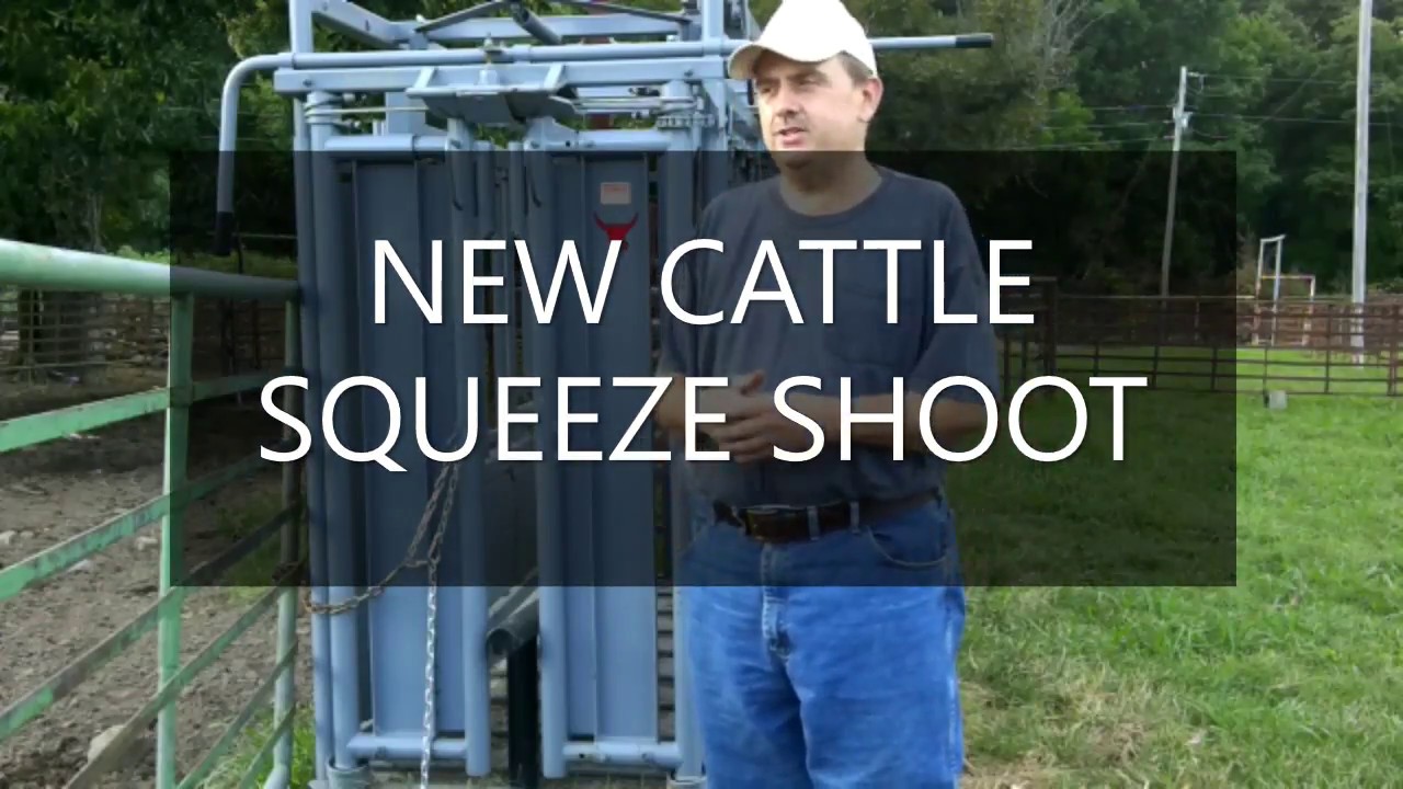 New Cattle Squeeze Shoot - YouTube