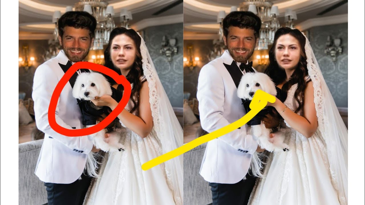 Can Yaman Demet Özdemir Wedding Day 2023 - YouTube