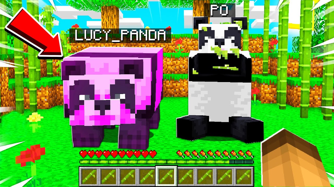 I TAMED A *NEW* PANDA in MINECRAFT! (Episode 8) - YouTube
