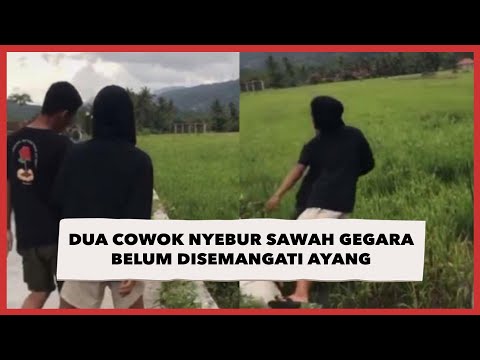 14 Juta Kali Ditonton Dua Cowok Nyebur Sawah Gegara Belum Disemangati Ayang
