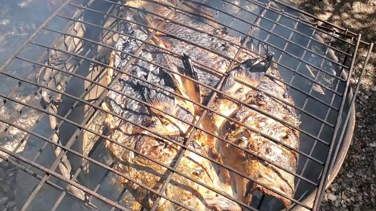 cocinando zarandeado de un pez cancuneño o boca negra - YouTube