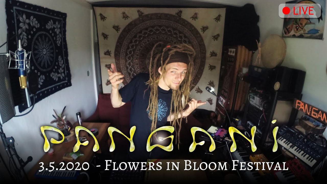 Pangani Live Dub @ Flowers in Bloom Festival - YouTube