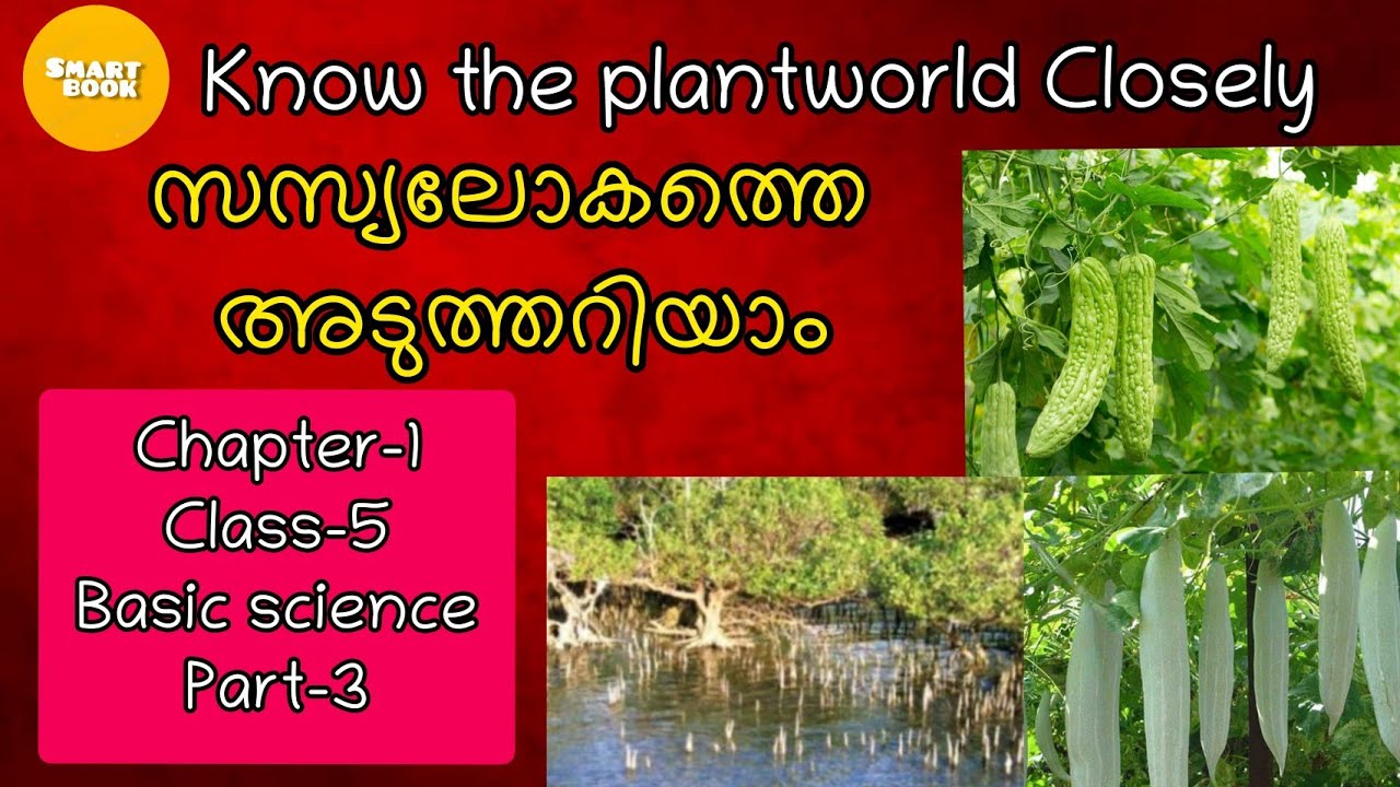 class-5|scert|basic science|chapter-1|know the plantworld closely|part-3 - YouTube