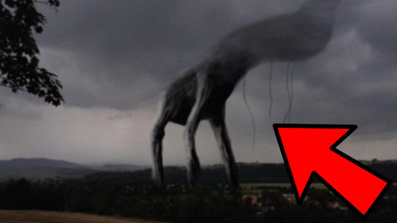 CZYM JEST POSTAĆ PRZYCHODZĄCA BURZOWYM WIECZOREM? |Mondar X - YouTube