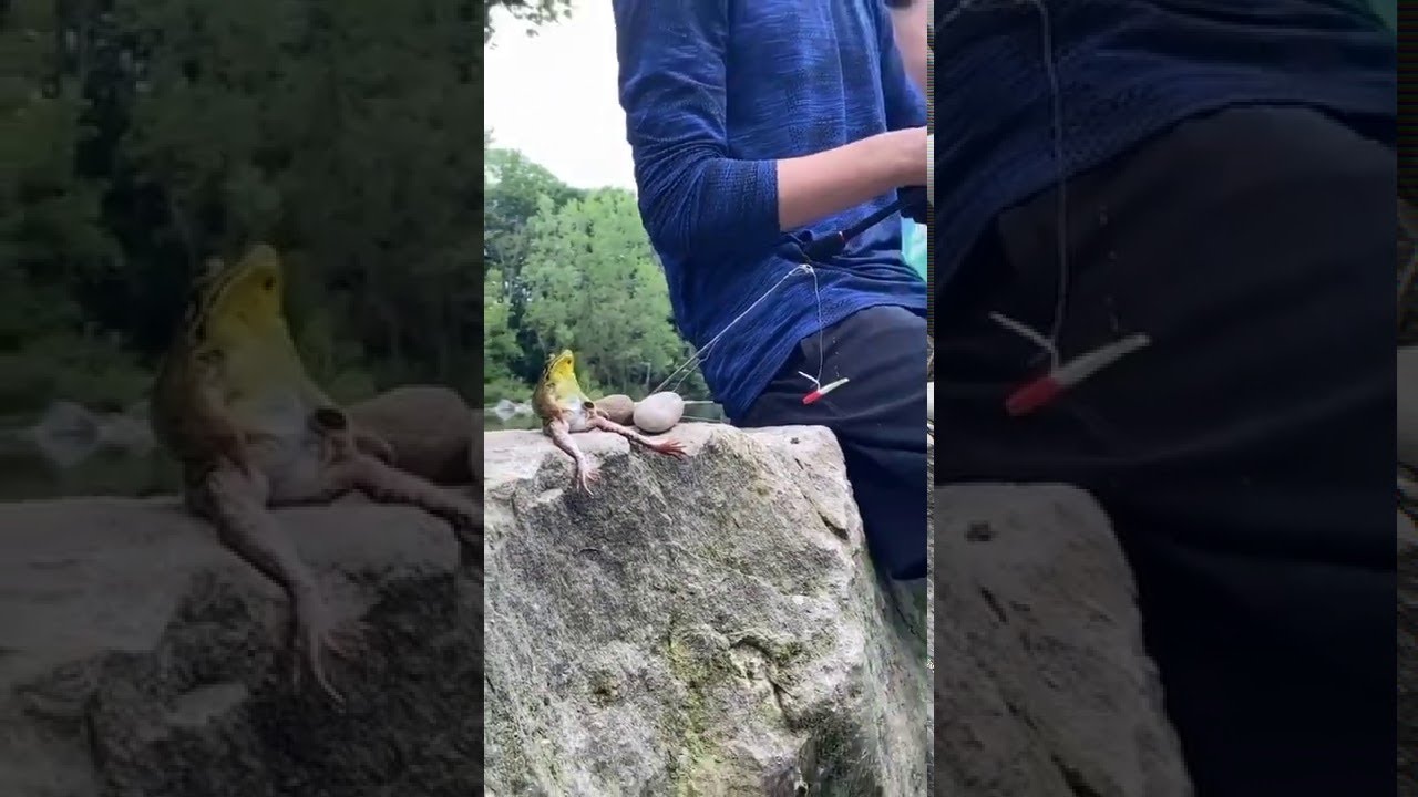 Fishing Day with Hubert the Frog || ViralHog - YouTube