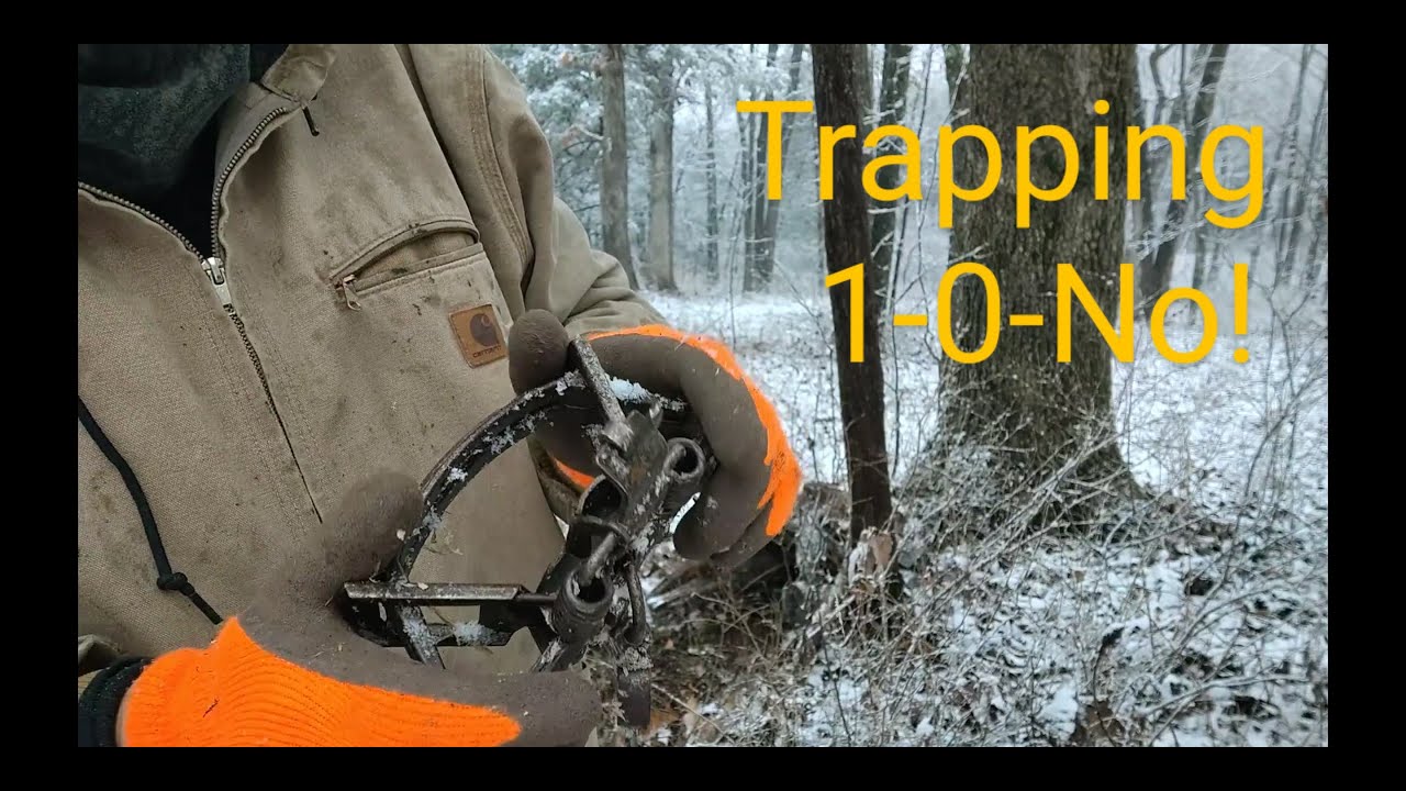 Trapping 1-0-No / Cold Weather / MB-550 trap - YouTube